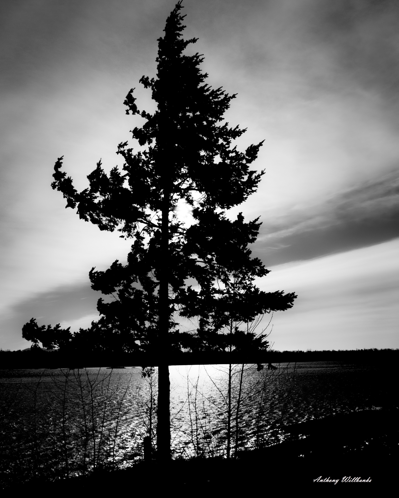 Anthony Willbanks Photography